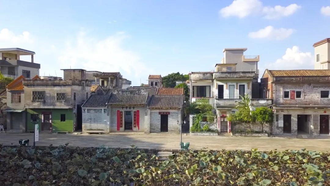 No money and no power, university teachers transform Shunde's deserted ...