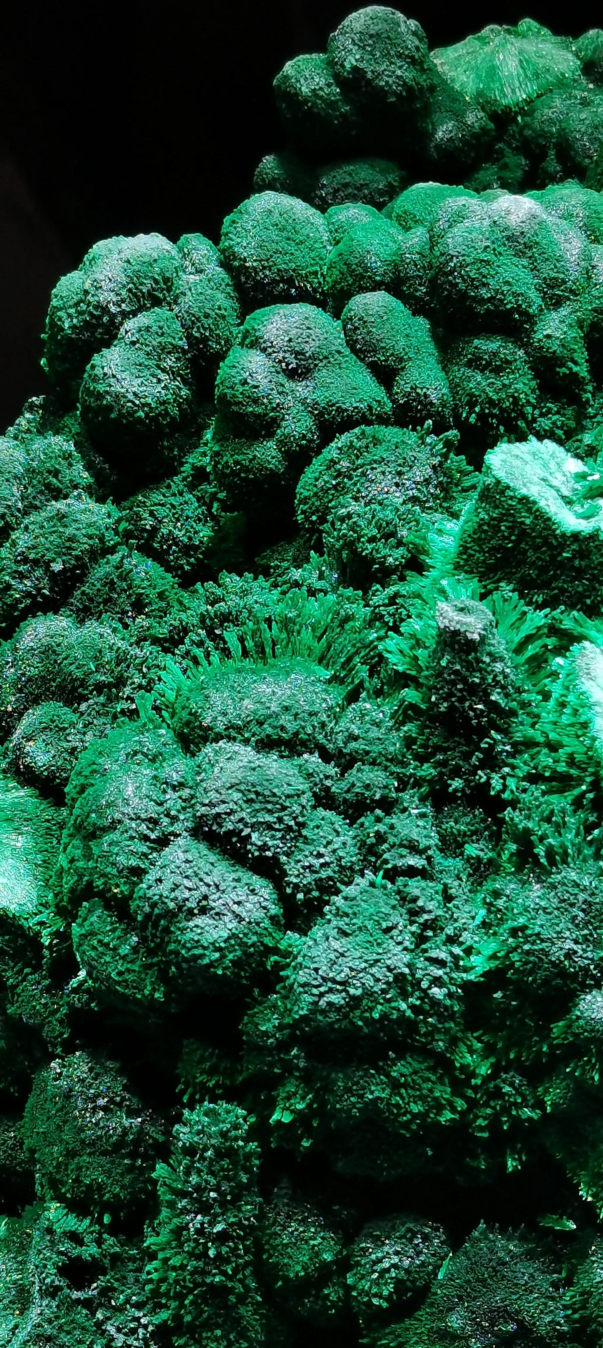 Have you seen these rare ores? - iNEWS