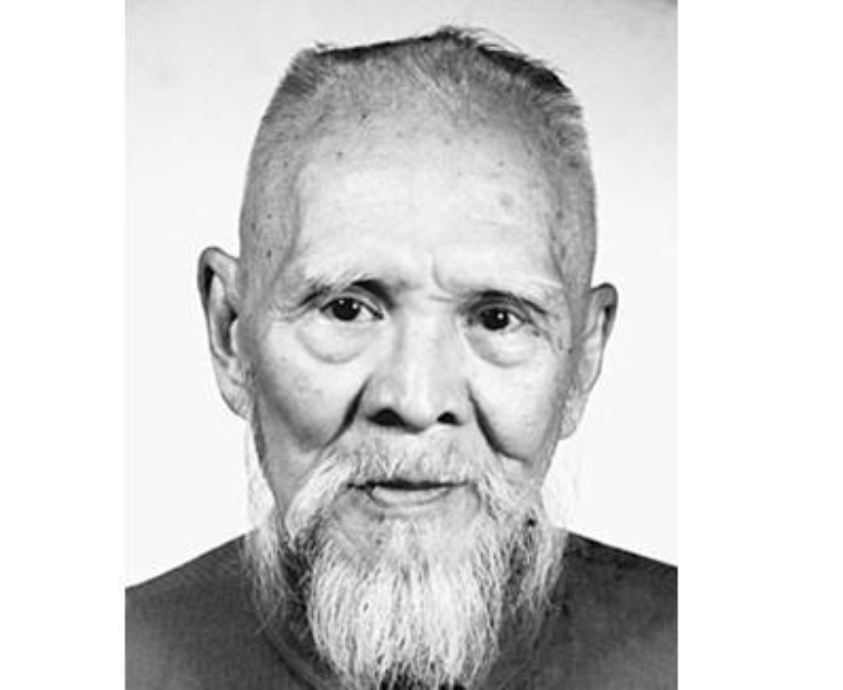 Overseas gang bosses against the US empire?With 20,000 younger brothers ...