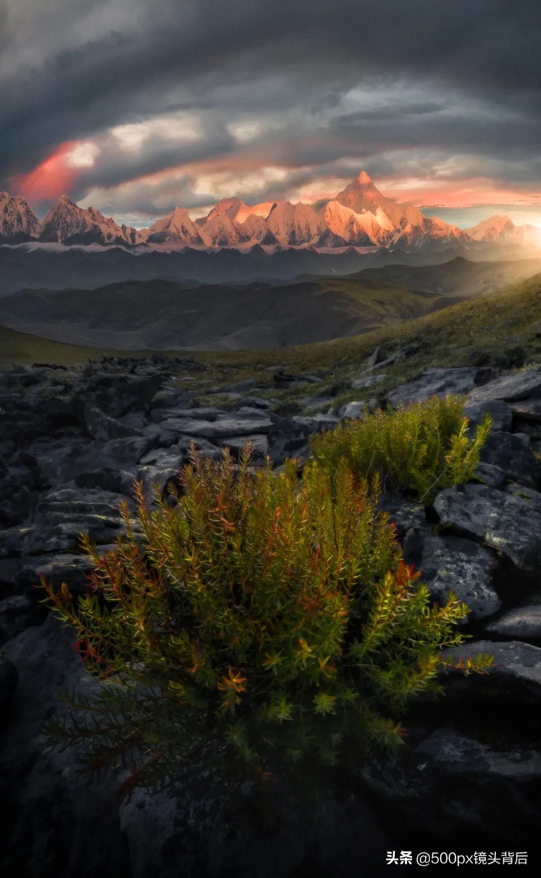 Vision China 500px Photographer·Qi Zhiyuan: Late Stage——50% of ...