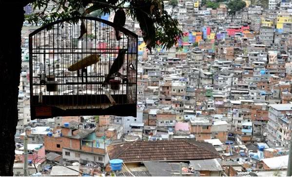 In Rio, Brazil's "sin city", where everyone is in danger, the Chinese ...