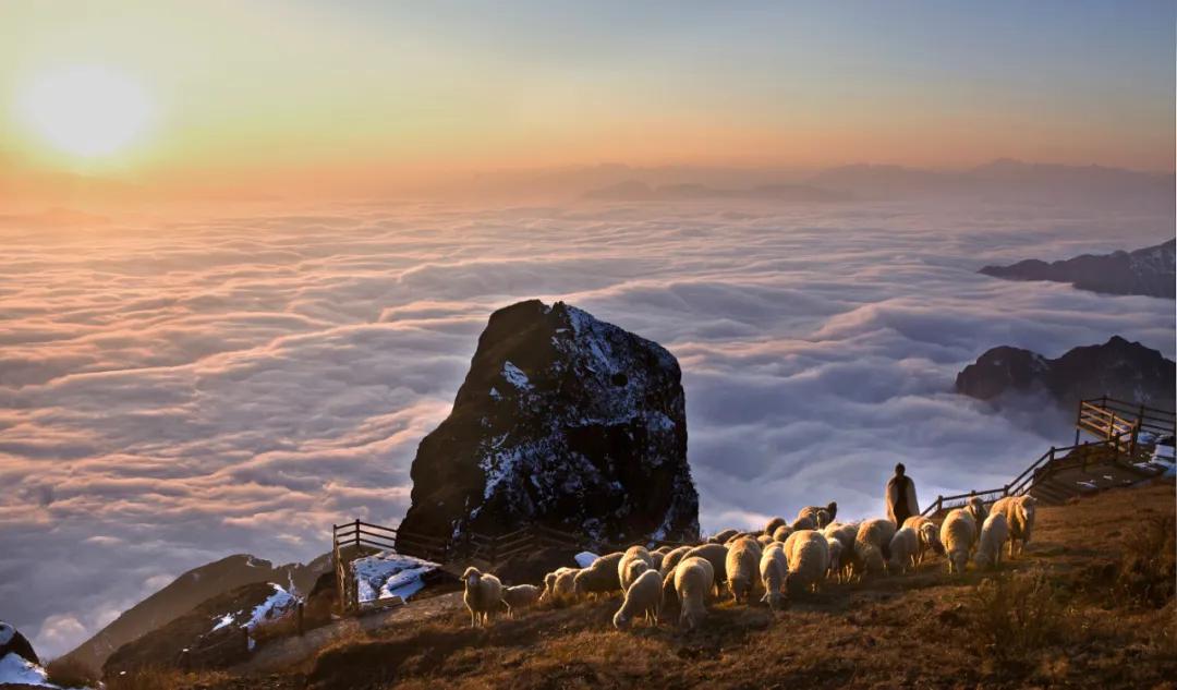 Multi-map! What's so fun about Dashanbao National Park? - iNEWS