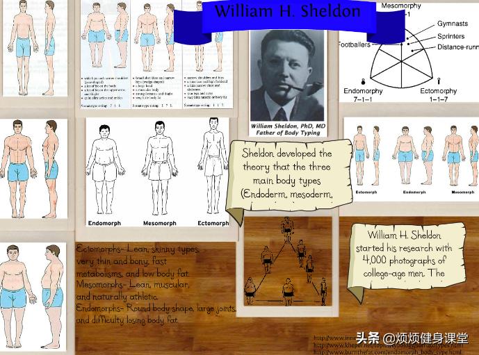 Stop being fooled by somatotype theory, ectomorph, endomorph or silly ...