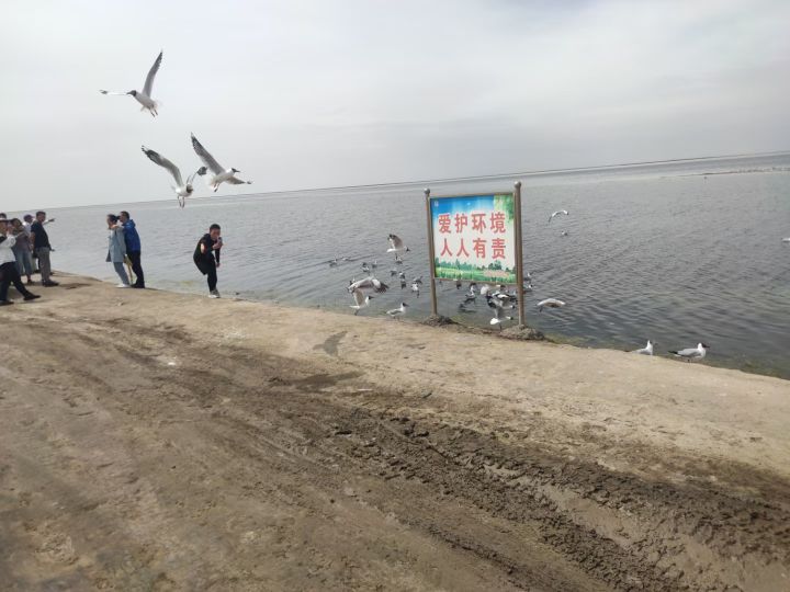 Delingha, an unforgettable place full of plateau customs - iNEWS