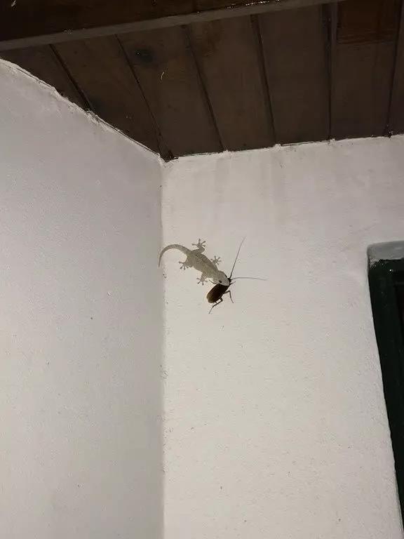 "18 pictures tell you: how terrifying nature can be!" - iNEWS