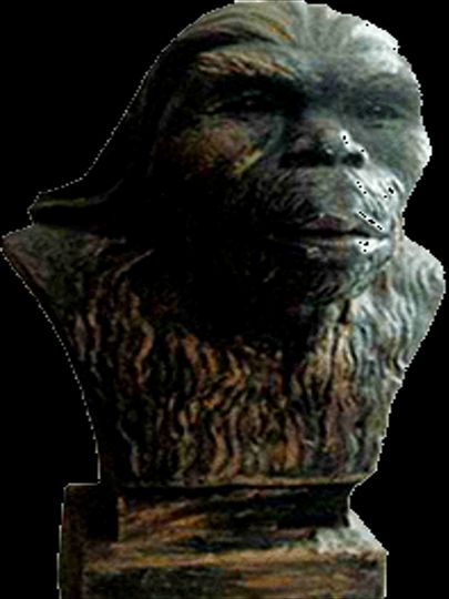 Exploring the prehistory, we have to mention the early humans in China ...