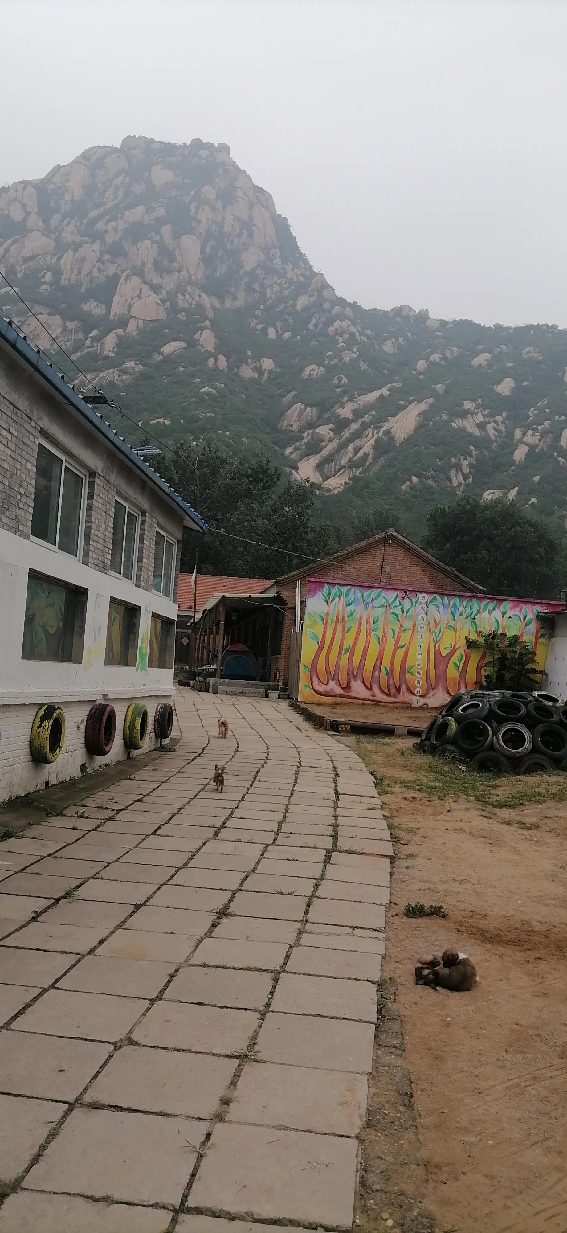 Children breathe freely, life blooms - iNEWS