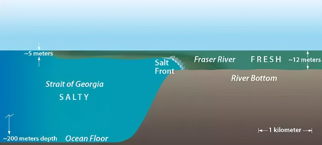 Can the Atlantic and Pacific waters really merge? What is this dividing ...