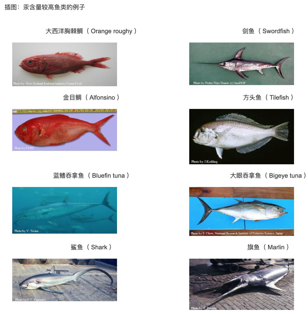 Children eat fish, it's best not to exceed this amount, there is a risk ...