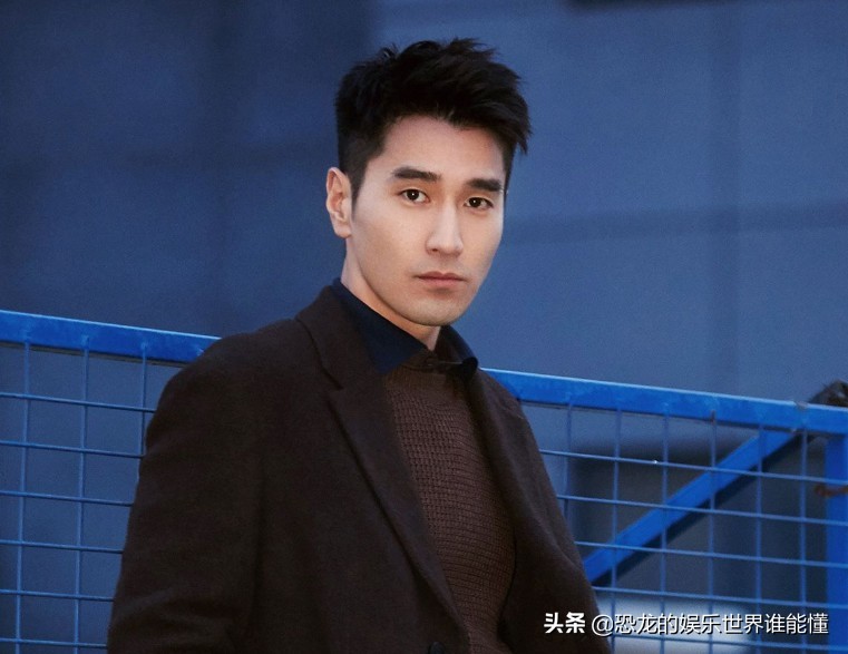 What are the actor Zhao Youting's TV dramas? He has not many works ...