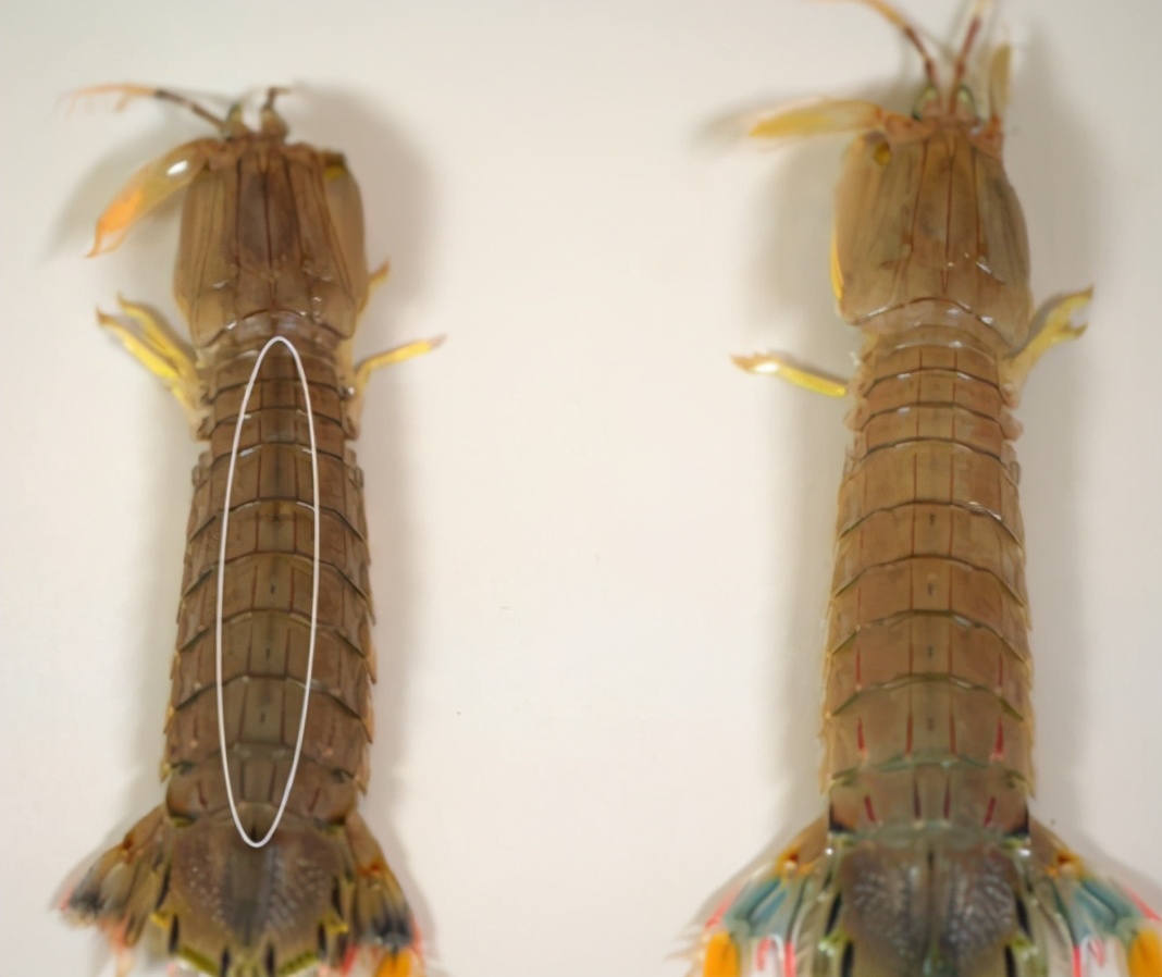 In September, I opened the sea, learned this little trick, and from ...