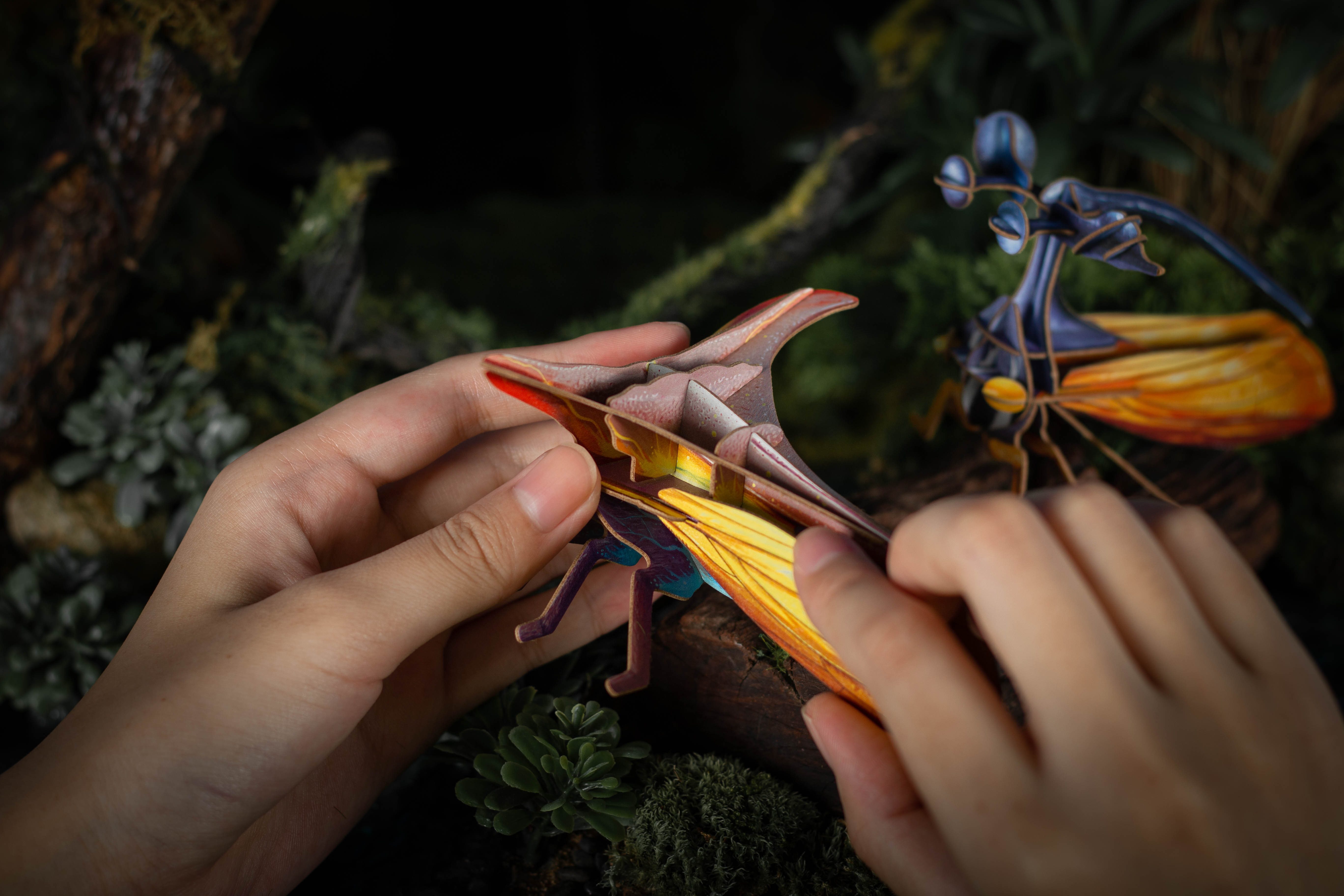 Alien creatures landed!Learn about the weird horned cicada - iNEWS