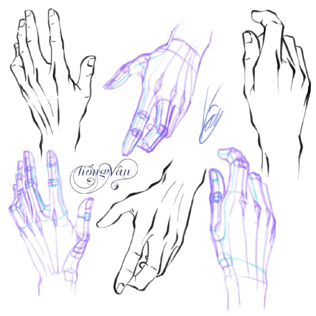 "Painting Reference" Human hand drawing reference shared by painter ...