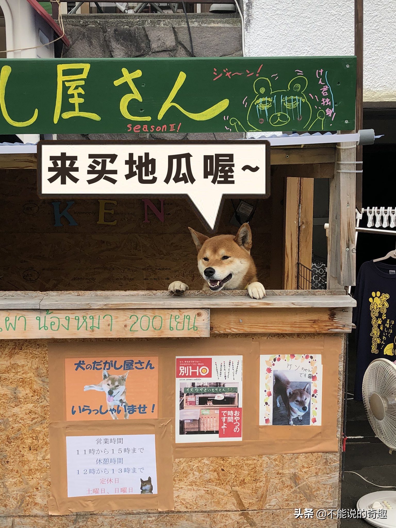 Consciously coin, the Japanese roasted sweet potato Shiba Inu shop is ...