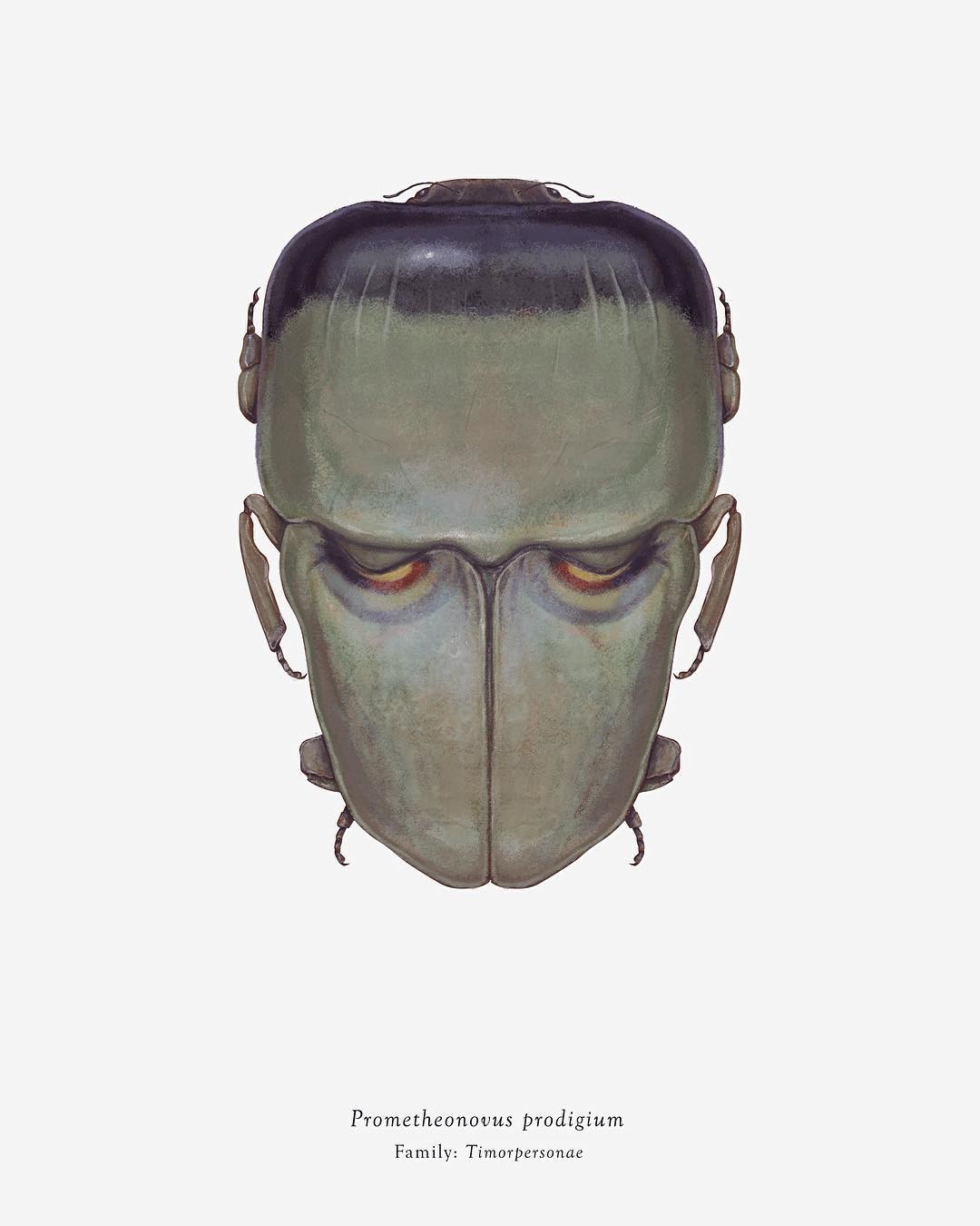 9 kinds of the most evil-looking beetles, exactly corresponding to the ...