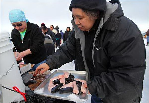 The Eskimos who live in the cold Arctic area are incognito all year ...