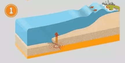If a 50-meter-high tsunami strikes, should it be better to run inland ...