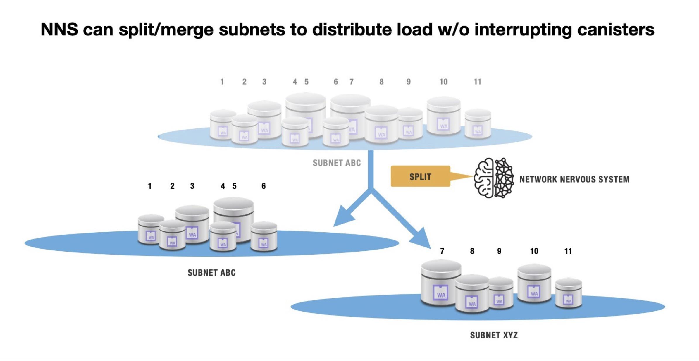 An overview of Internet computer DFINITY technology, how does ICP work ...