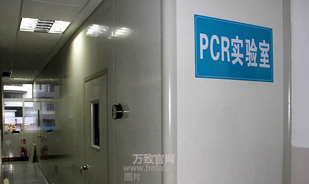 How does the PCR laboratory make a reasonable plan? - iNEWS