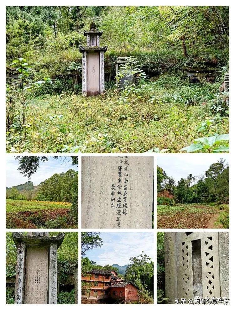 The Sichuan Characters of the Zhao Family and the Cultural Inheritance ...