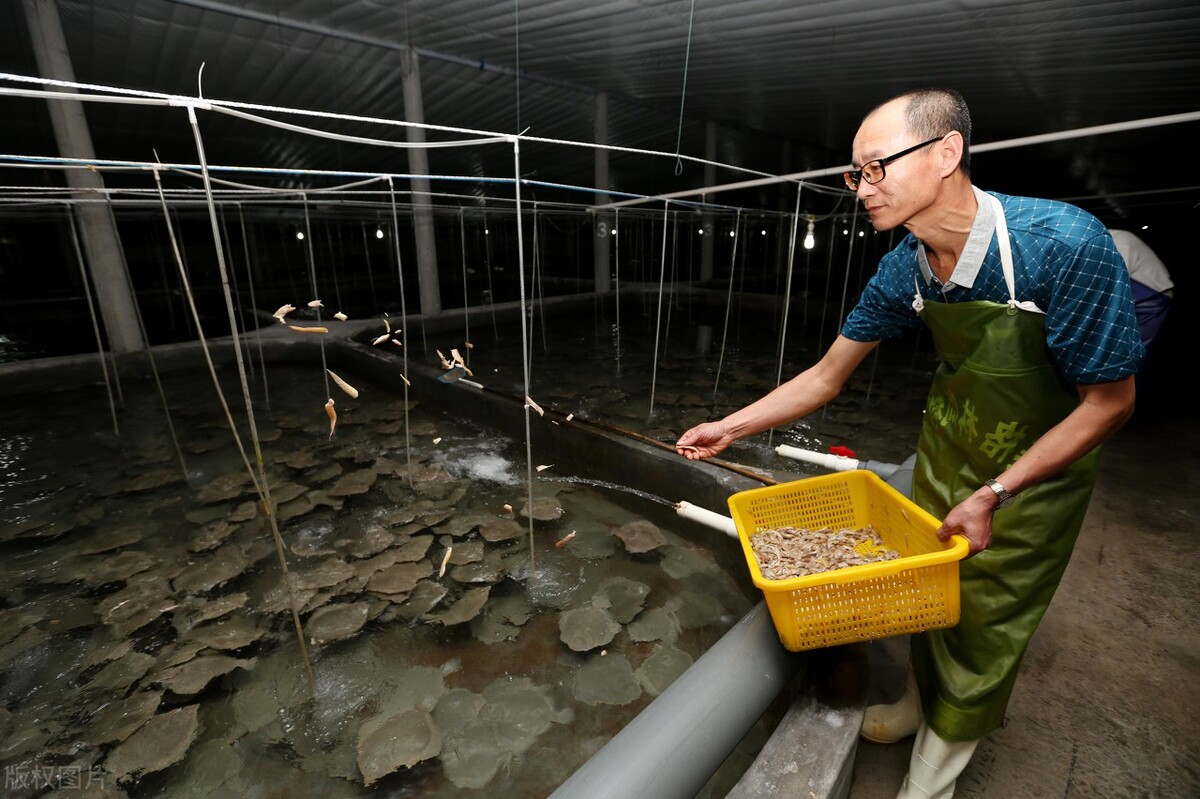 After infiltrating China for nearly 30 years, it was once a "old bottom ...