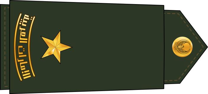 Military rank identification of each country: UAE - iNEWS