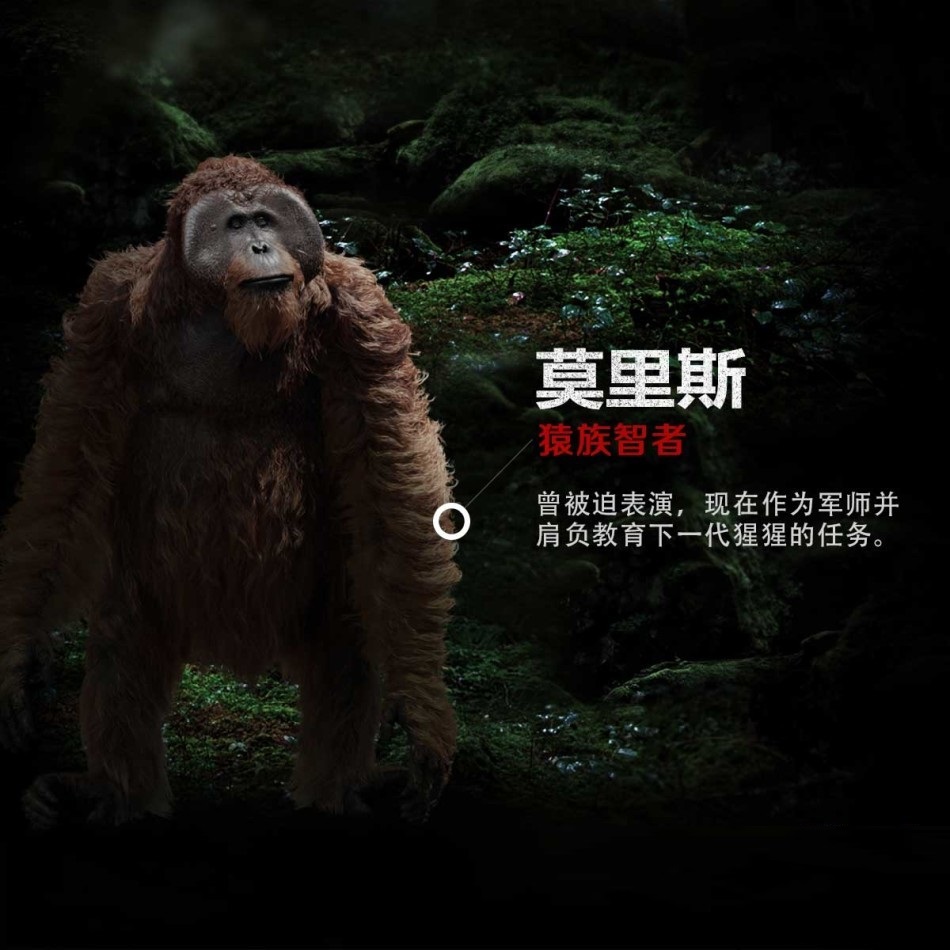 Watch "The Rise of the Apes" and talk about the "close relatives" of ...