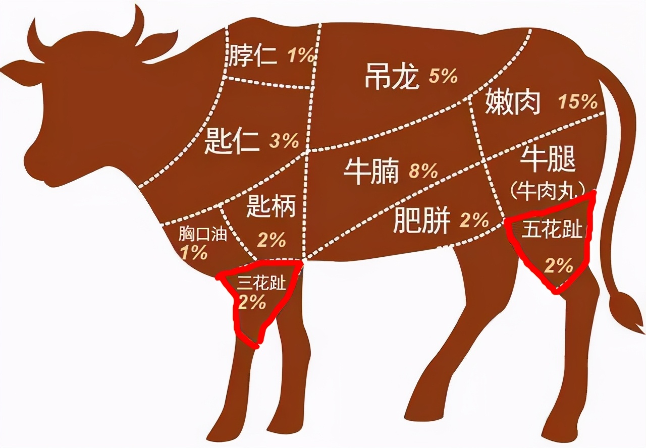 Did you know that buying beef tendons is also divided into "front ...