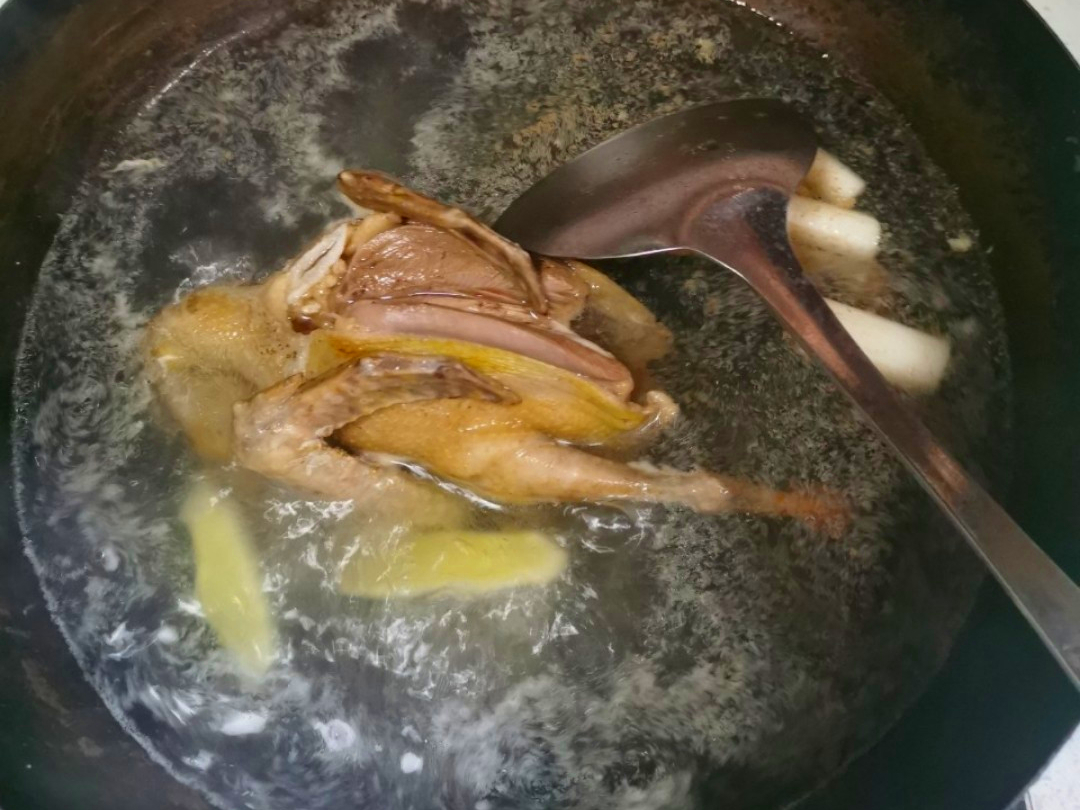 When stewing pigeon soup, do you use old pigeons or young pigeons?Teach ...