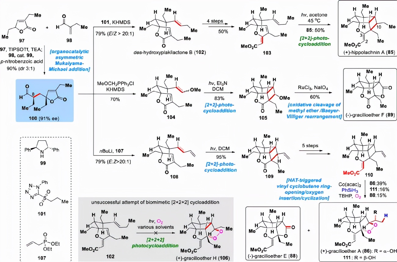 Biomimetic organic synthesis of natural products - iNEWS