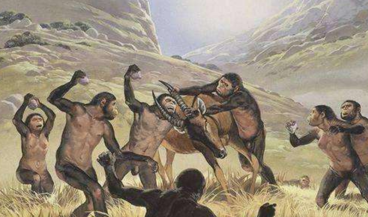 Why do humans wear clothes?Warmth or shame?The reason may be more ...