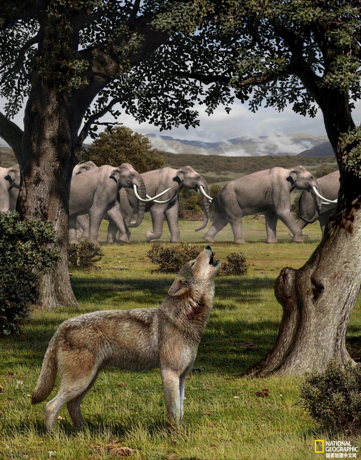 The mysterious dire wolf actually exists - iNEWS