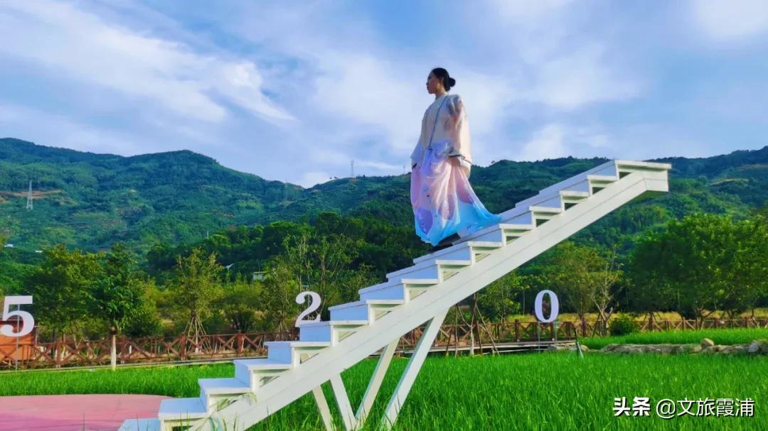 Summer in Yutan Sakura Valley is rice fields, breeze and you - iNEWS