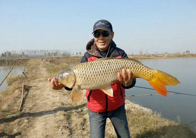 The ten most expensive freshwater fish in the country, comparable to ...