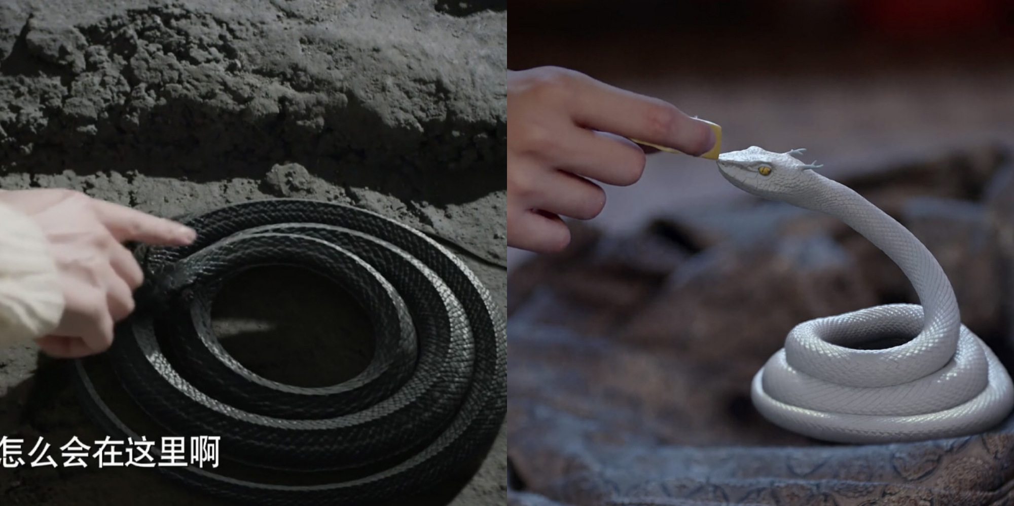 "Yulong" Wang Hedi and Zhu Xudan IV are sadomasochistic, the plot hits ...