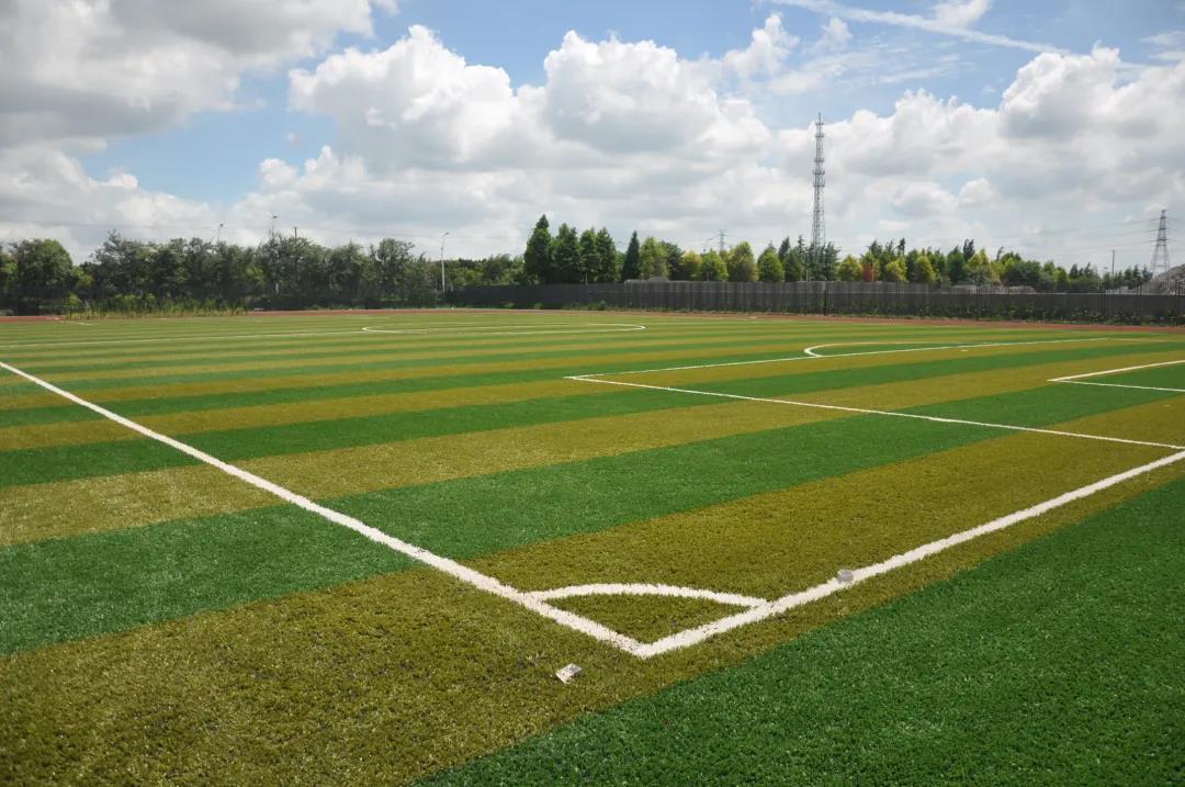 How to look at CAD construction design drawing of artificial turf ...