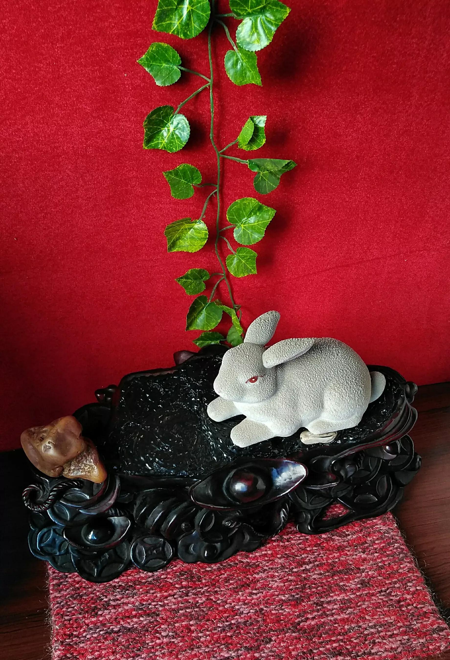 Yutu, Yuetu, Master Rabbit, Grandma Rabbit; which one is really the ...