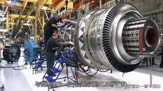 Looking at the Leopard in the Tube-Analysis of the Adaptive Cycle ...