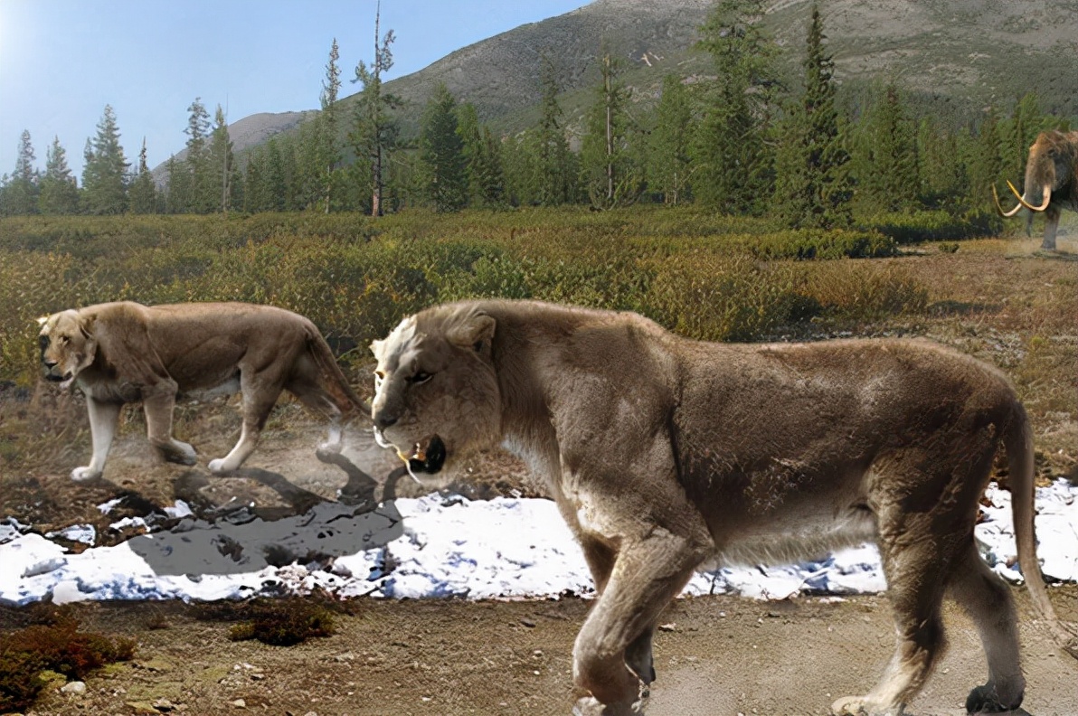 Consequences of global warming: the Arctic permafrost melts, exposing ...