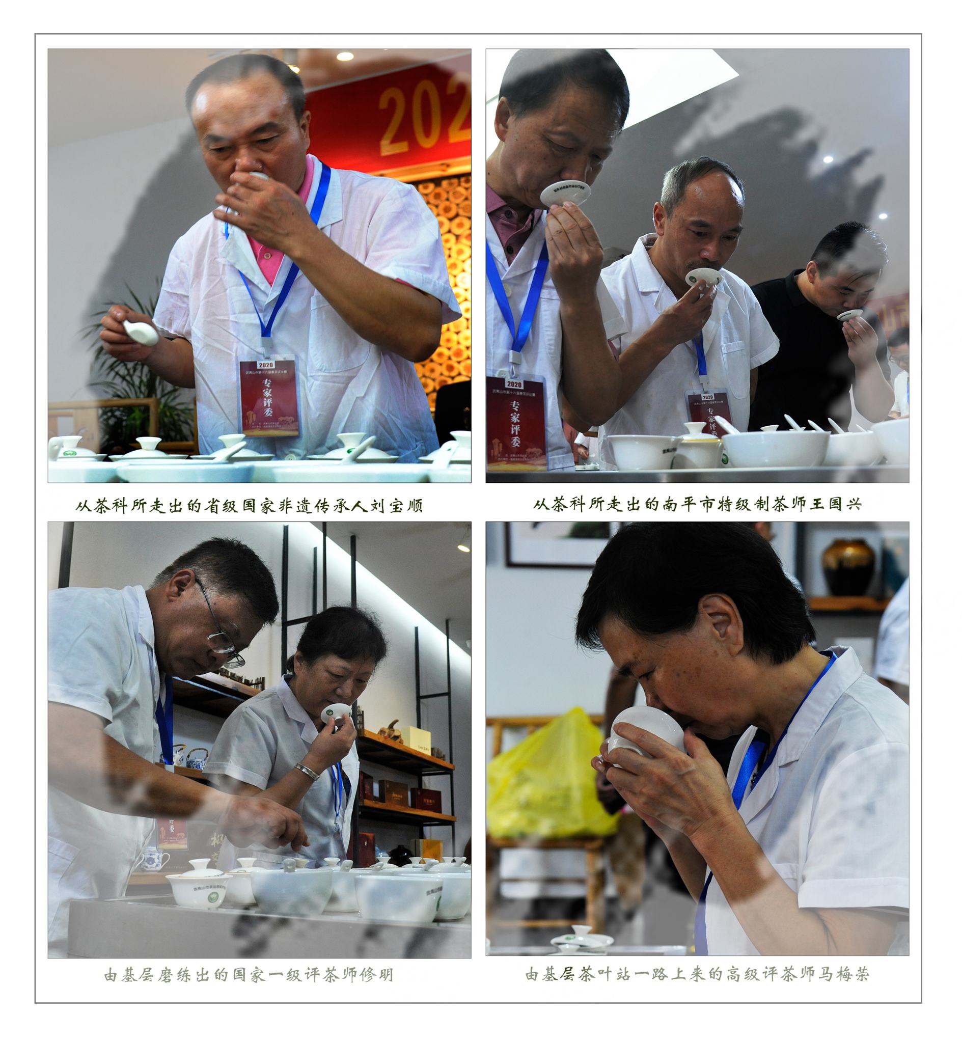 The light and shadow keep the truth-Wuyishan•Wuyi tea wonders the world ...