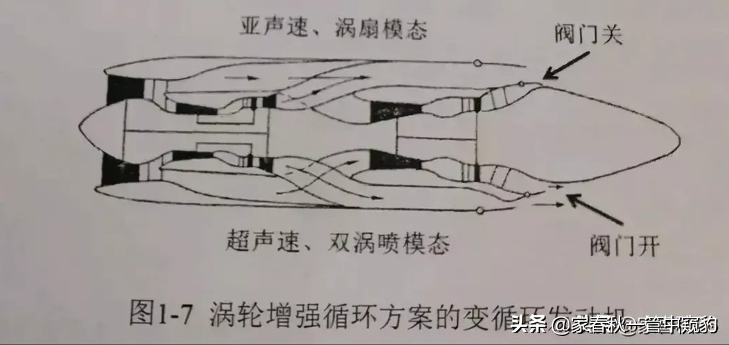 Looking at the Leopard in the Tube-Analysis of the Adaptive Cycle ...