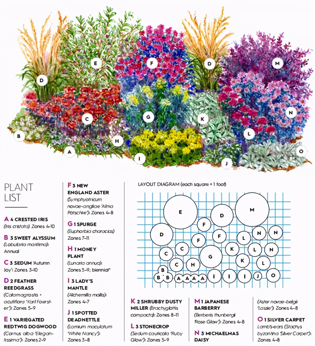 20 flower border designs, which one do you like best?(Attached plant ...