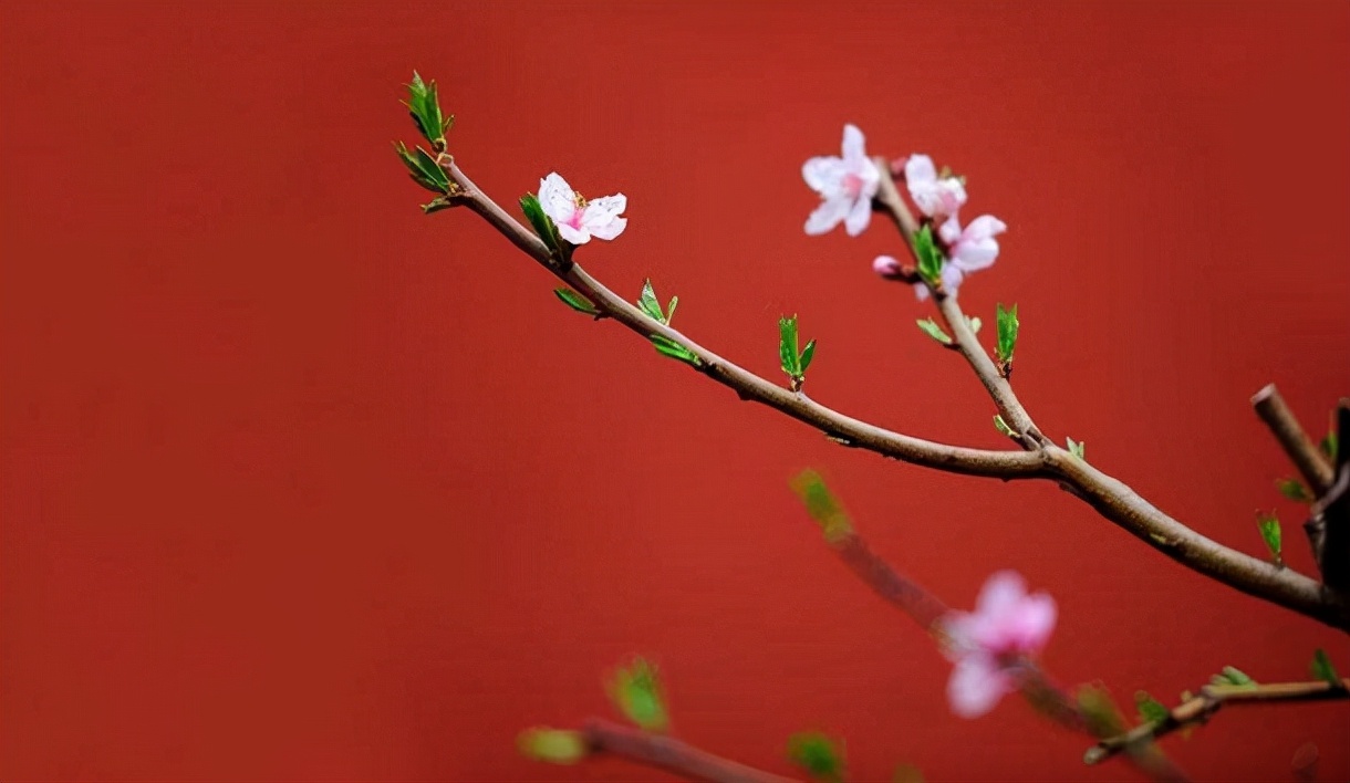 10 names of the boys of the modest gentleman in the "Tao De Jing" - iNEWS