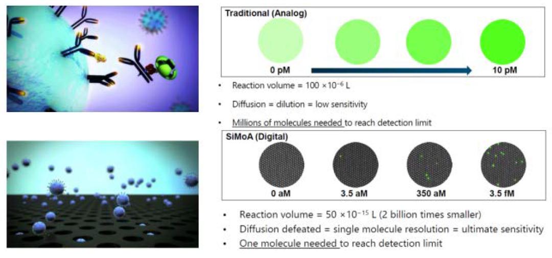 Brief introduction of in vitro application of biomagnetic beads - iNEWS