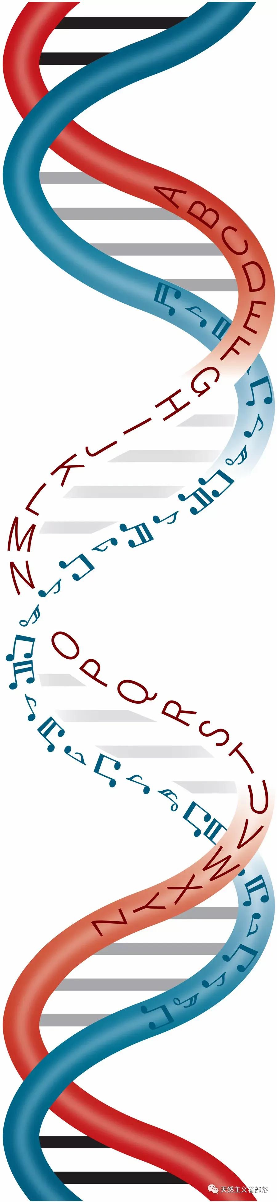 Do language and genes share the history of cultural evolution? - iNEWS