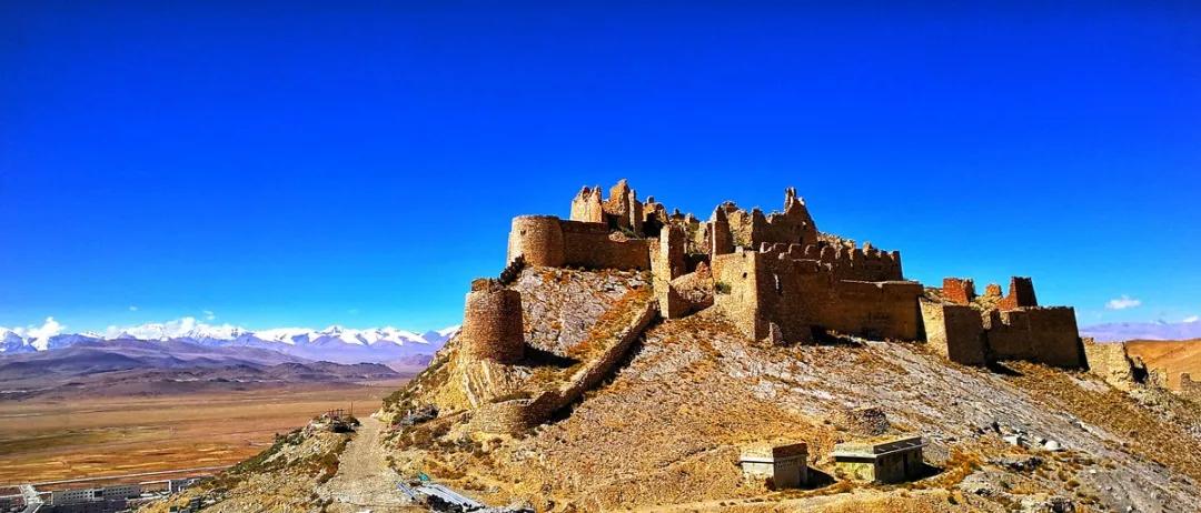 Gamba and Zhongba, beautiful sheep and colorful desert... - iNEWS