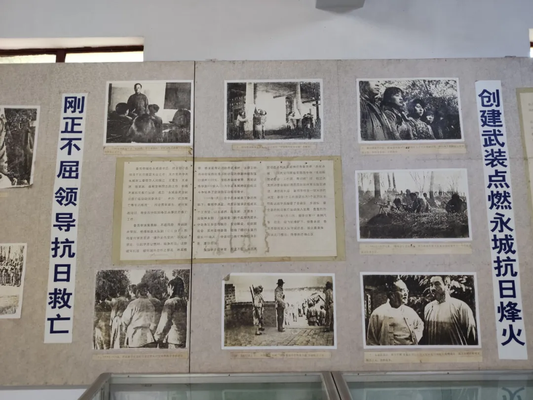 The flower of the hero blooms on Mangdang Mountain: the glorious life ...