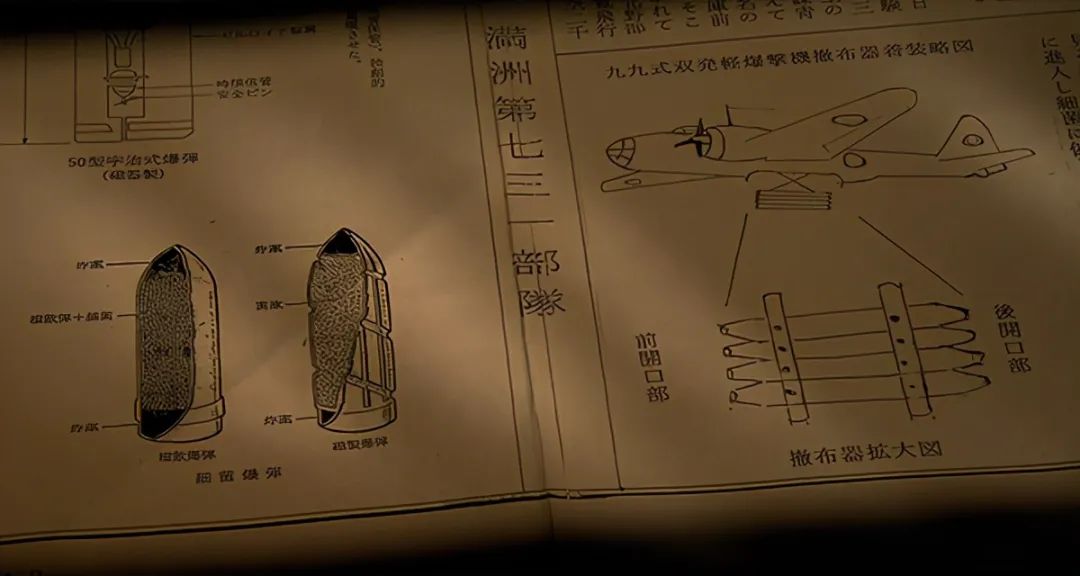 The truth about Unit 731: elite doctors and human experiments - iNEWS