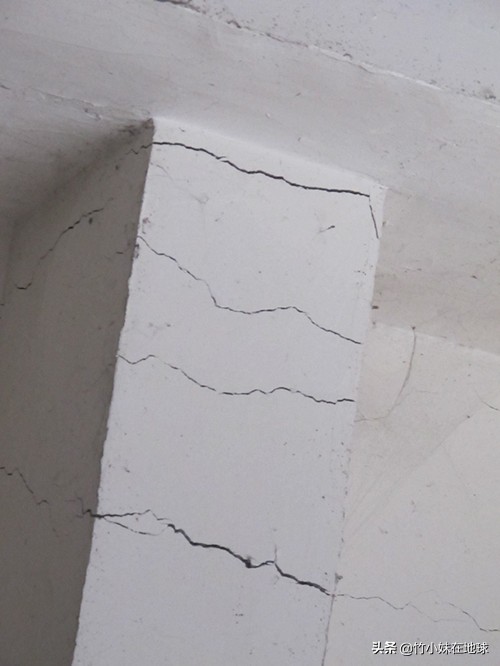 South Korea's largest tofu dregs project, the luxury building was razed ...