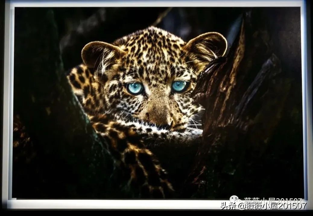 Luo Hong Photographic Art Museum - iNEWS